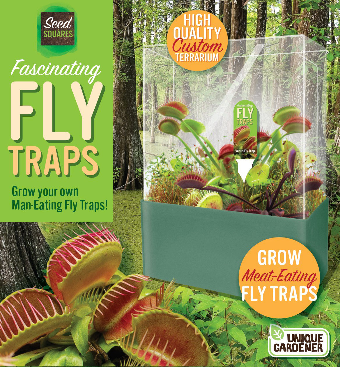Venus Fly Trap Seed Square Terrarium – EastMichNatives Nature Store