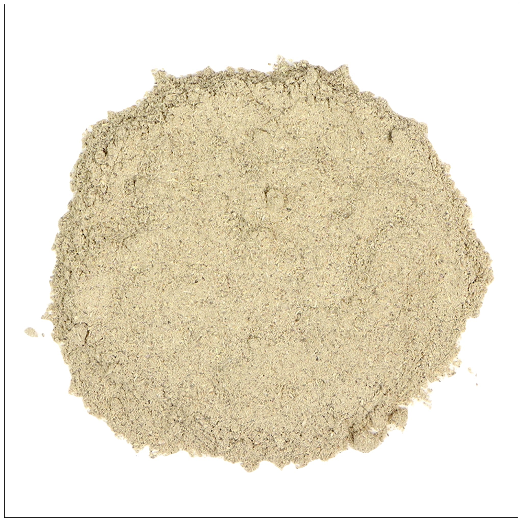Echinacea Extract Powder – EastMichNatives Nature Store