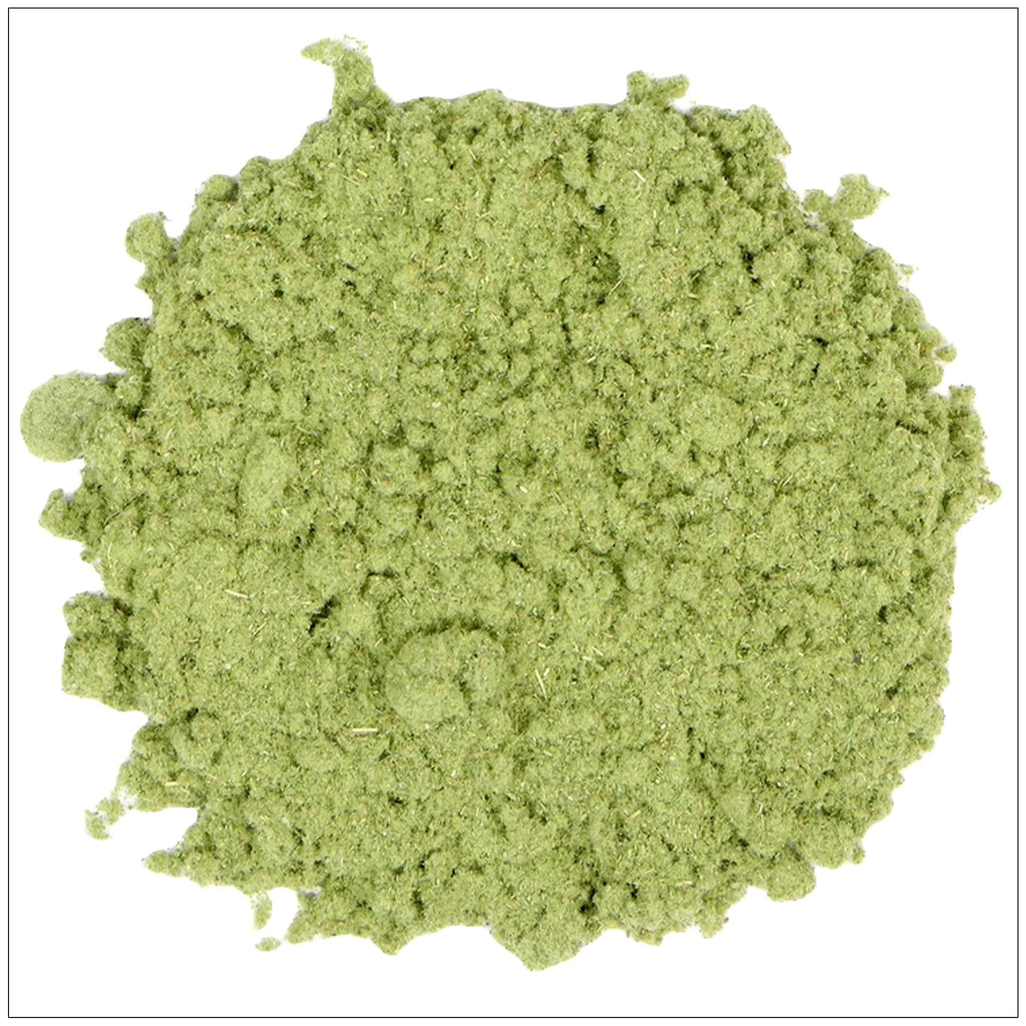Wormwood Powder – EastMichNatives Nature Store